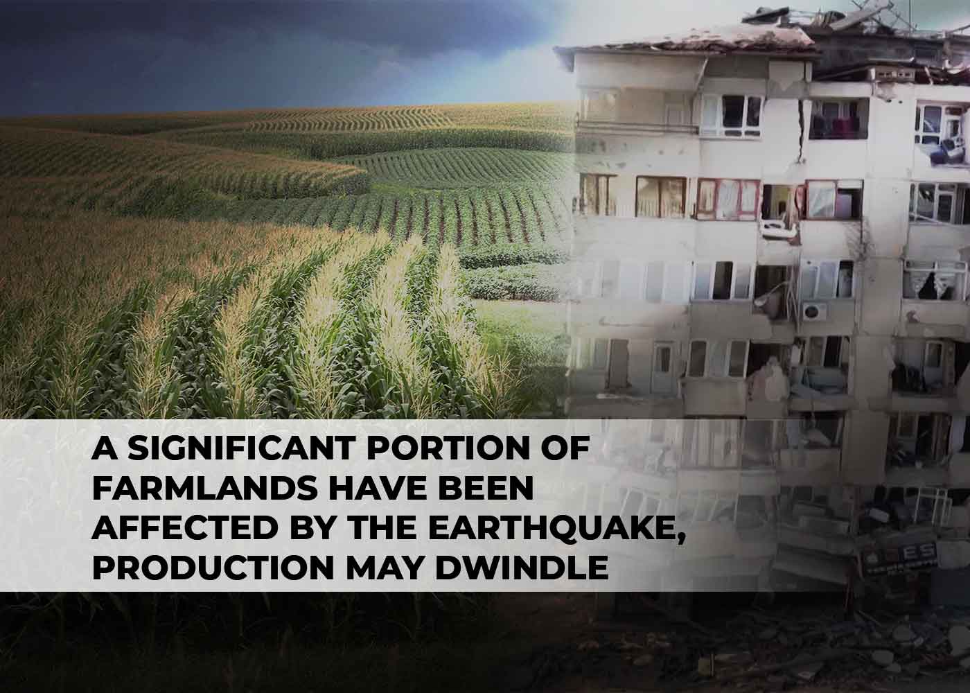 A Significant Portion of Farmlands Have Been Affected by The Earthquake ...