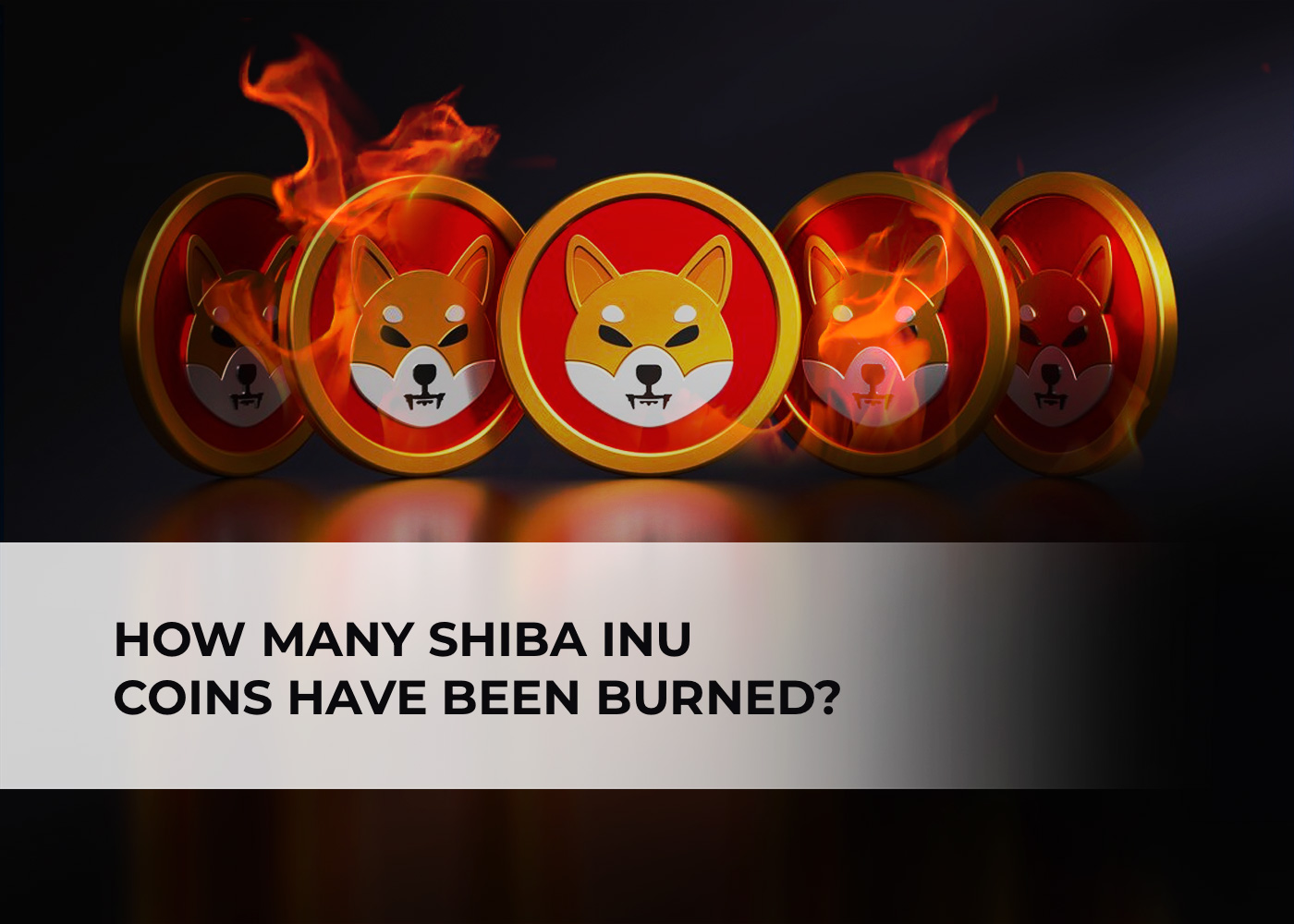 How Many Shiba Inu Coins Have Been Burned - Coin Index News