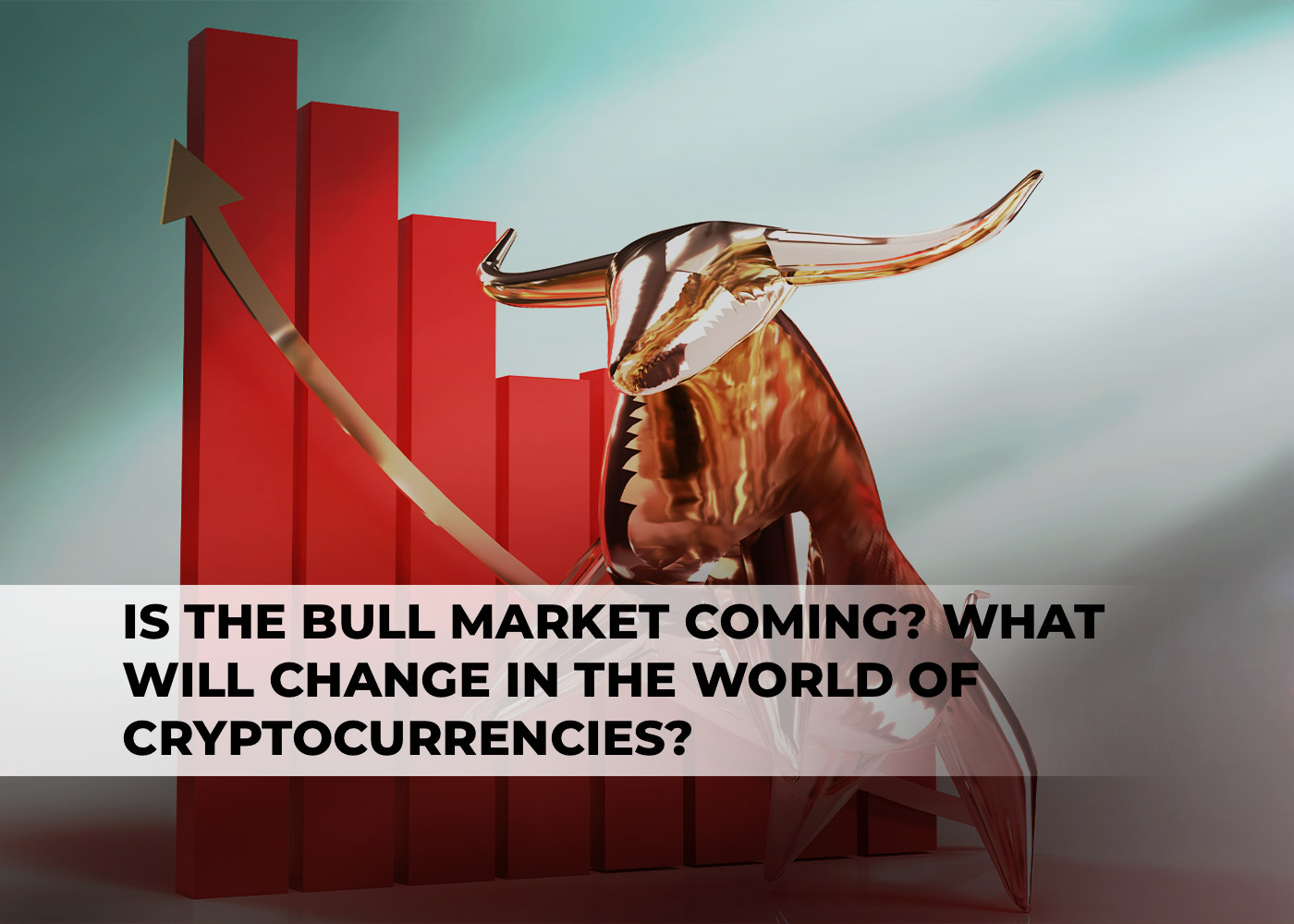 Is The Bull Market Coming? What Will Change In The World Of ...