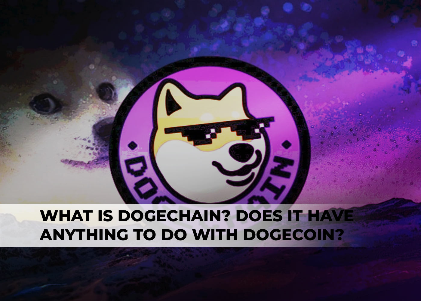 What Is Dogechain? Does It Have Anything To Do With Dogecoin? - Coin ...