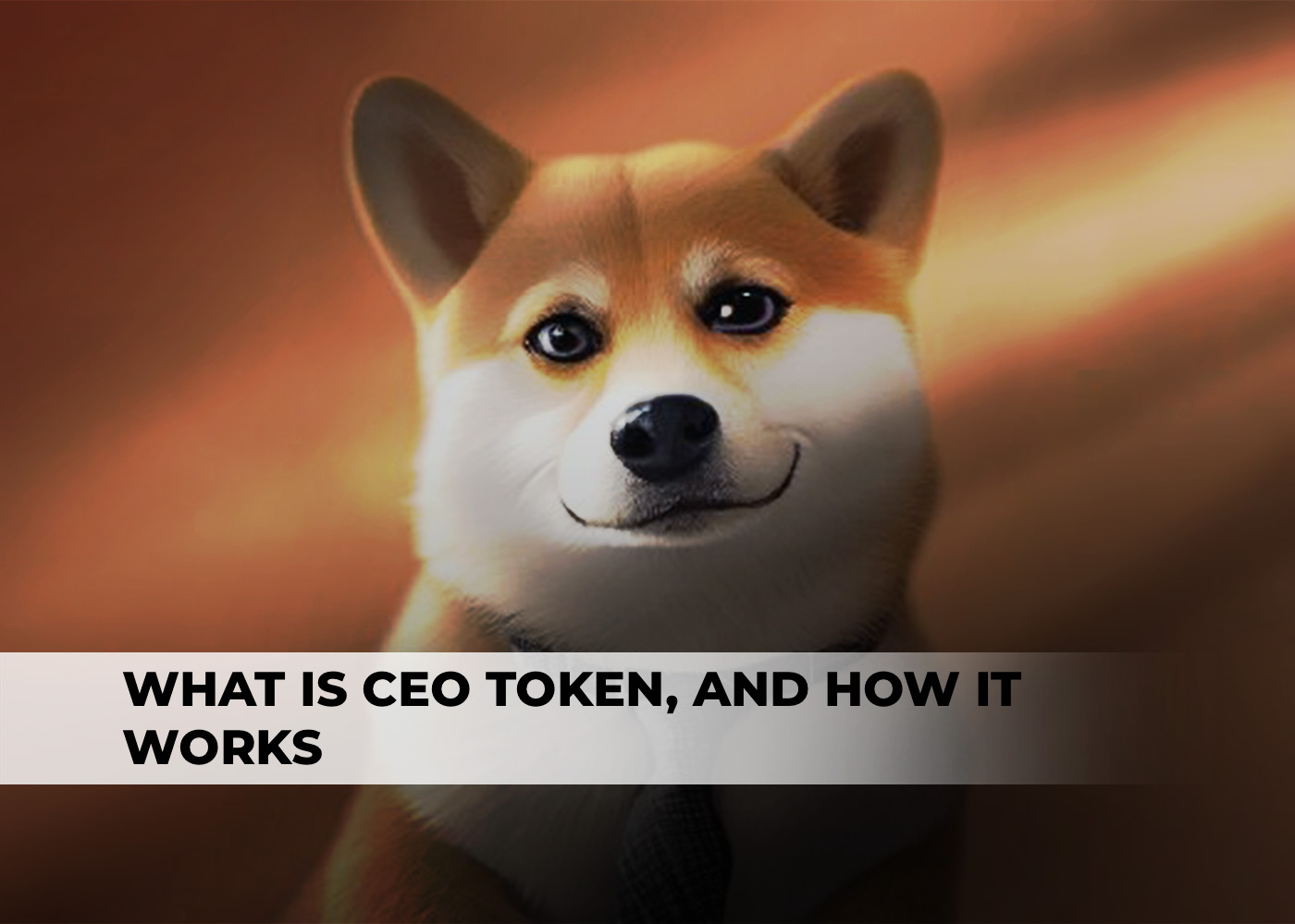 What is CEO Token, and How It Works? - Coin Index News