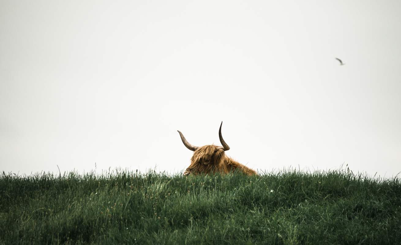 Bitcoin Bull Run To Peak In 2025? Blockchain Firm Predicts Cycle ...