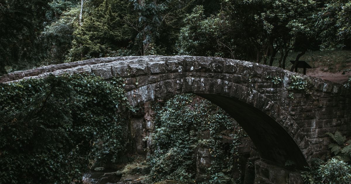 deBridge Token Goes Live With DBR Airdropped to 491K Wallets - Coin ...