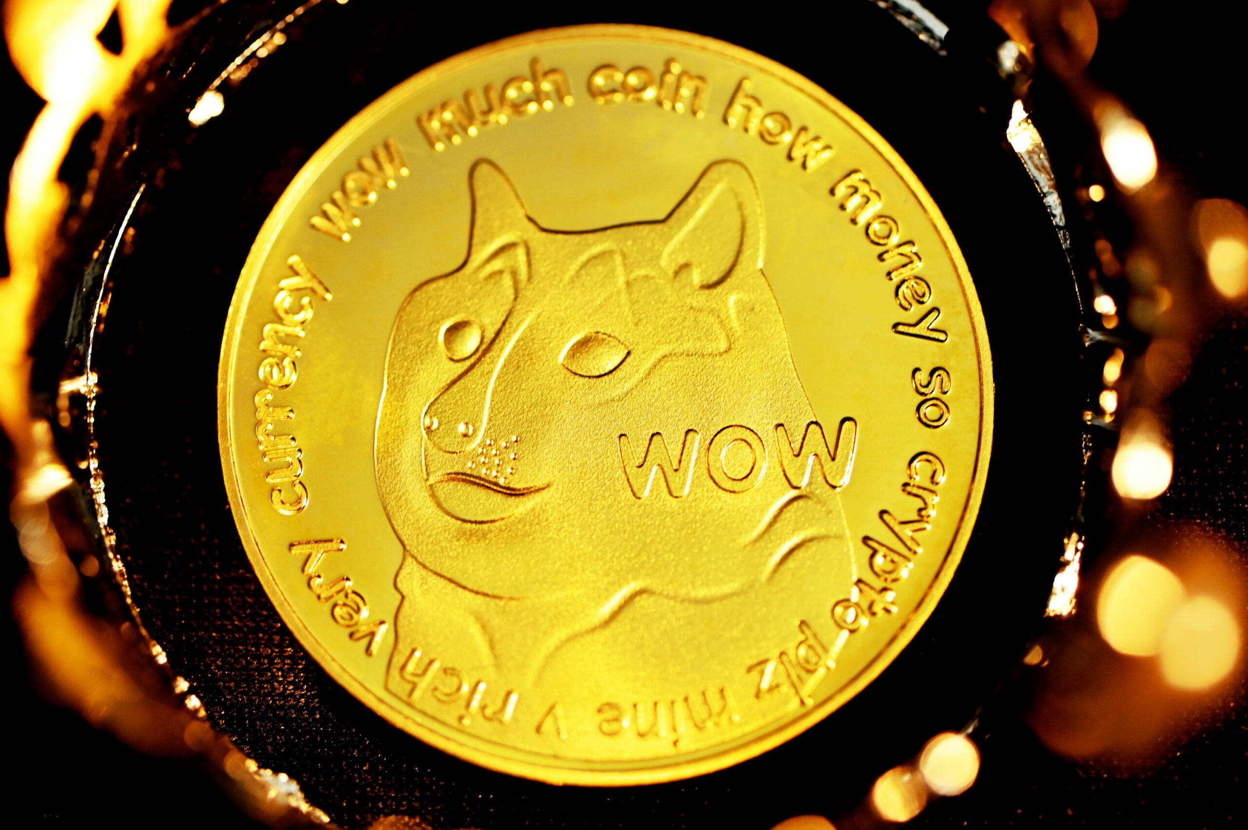 Dogecoin Trust Transformation into GDOG ETF: Amended S-1 Filed - Coin ...