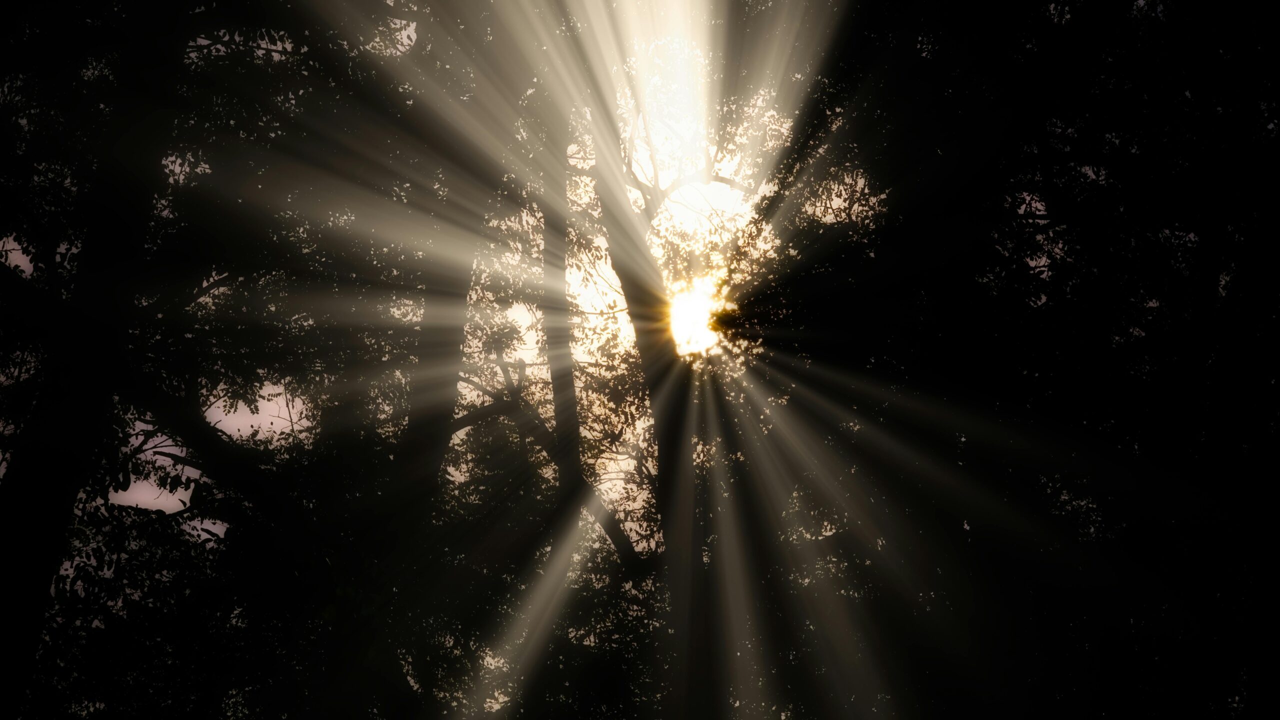 Roger Ver, Known as ‘Bitcoin Jesus,’ Resolves Tax Fraud Case - Coin ...